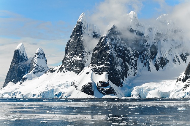 Arctic Facts For Kids | Animals, Plants, People, Weather