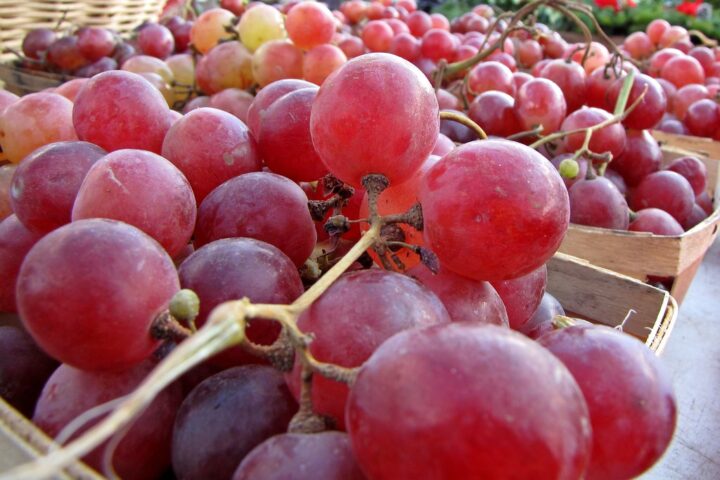Grape Facts For Kids: One Of The Most Popular Types Of Fruits In The ...
